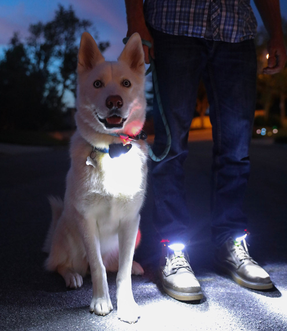 Night Runner 270 Shoe Lights – Night Tech Gear